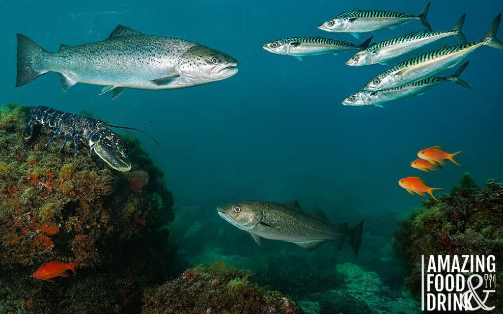 Top 10 Seafood Facts & Easy Recipes - Health Benefits UK