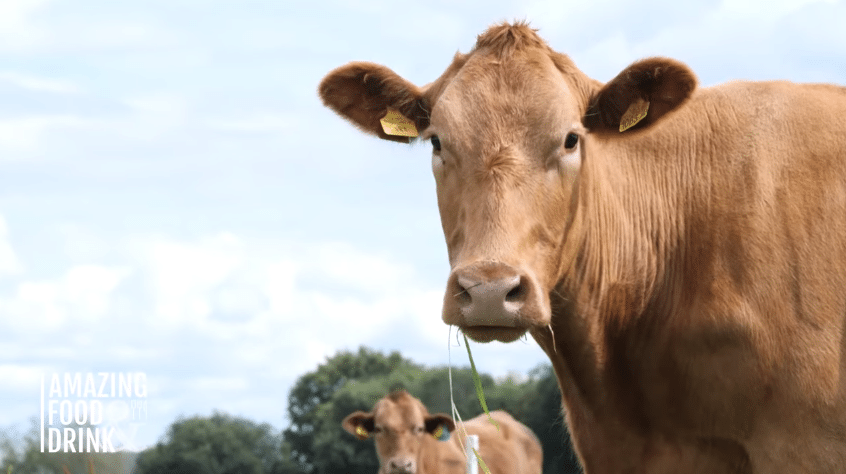 Seaview Farms' Ethical Farming Revolution