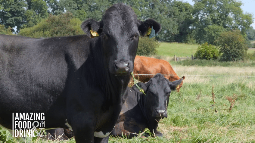 Seaview Farms' Ethical Farming Revolution