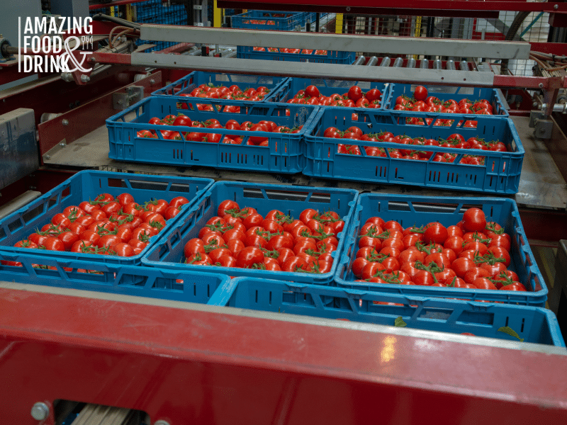 Summit Explores Critical Role of Food Law