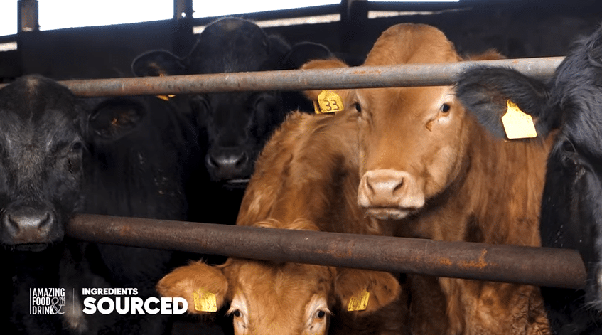 Ballylisk Cheese: A Fantastic Luxurious Dairy Revelation