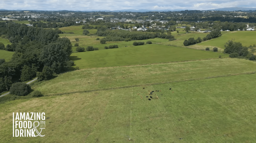 Seaview Farms' Ethical Farming Revolution