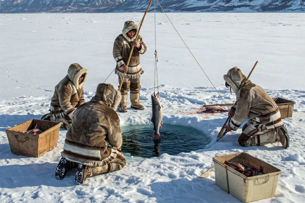 Foods of the Arctic: 5 Traditional Delicacies to Discover