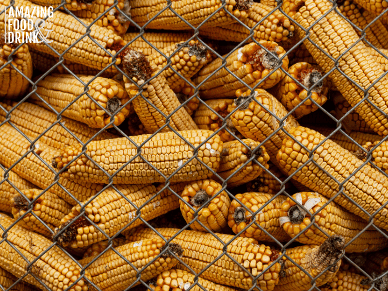 The Impact of Colonialism on Global Food Practices