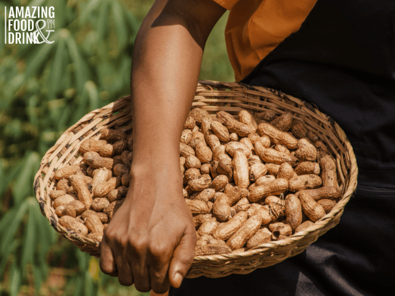 The Impact of Colonialism on Global Food Practices