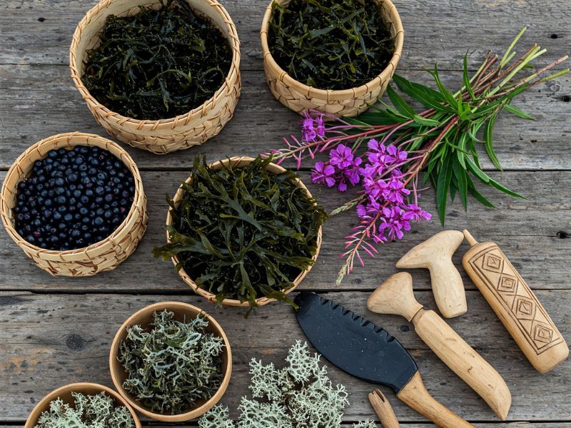 Foods of the Arctic: 5 Traditional Delicacies to Discover