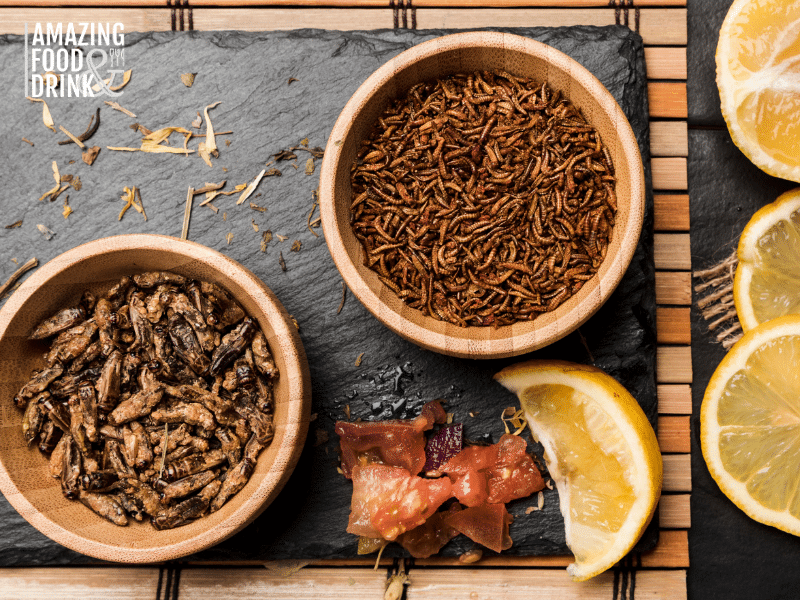 Edible Insects: A Growing Trend in the UK!