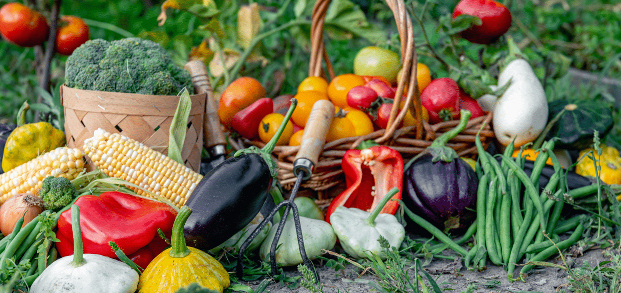 The Role of Food Forests in Sustainable Agriculture