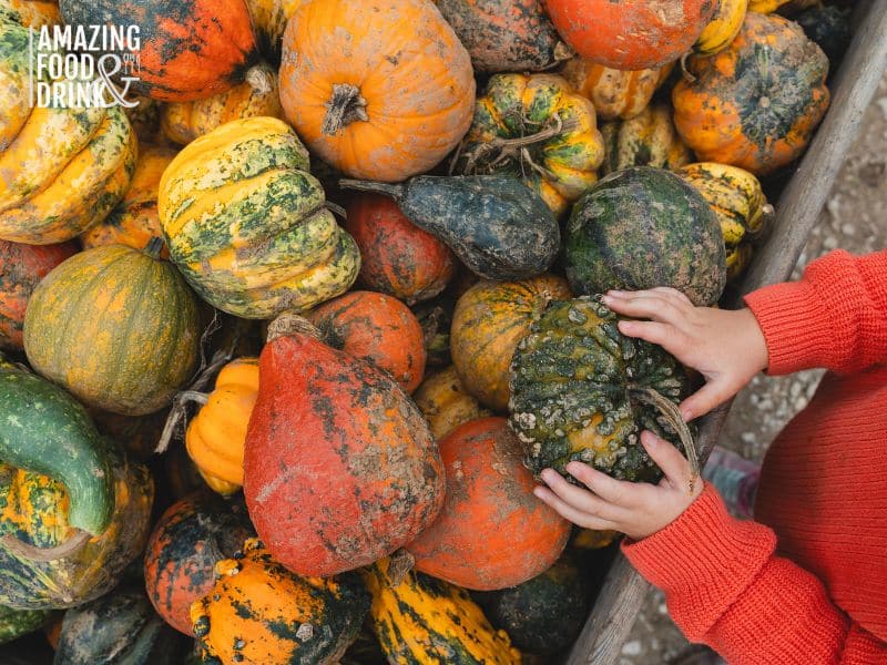 Virginia Pumpkin Festival: Discover the Ultimate Guide