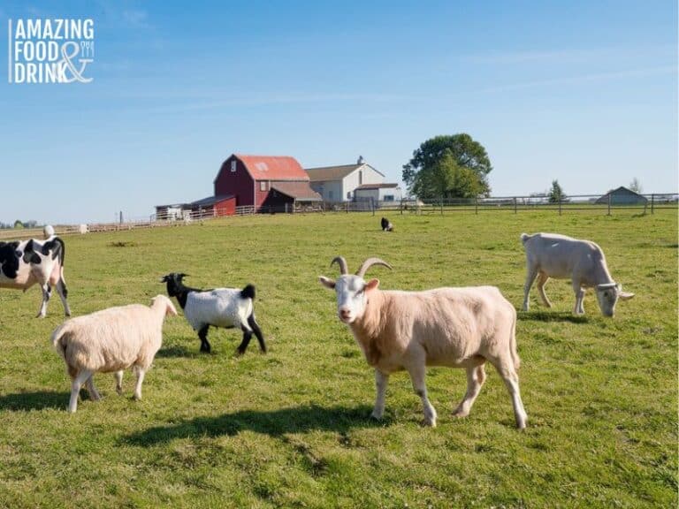 Ethical Meat Consumption: A Choice for a Sustainable Future